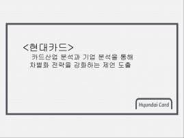 현대카드 카드산업 분석과 기업 분석을 통해 차별화 전략을 강화하는 제언 도출 - 카드산업-1페이지