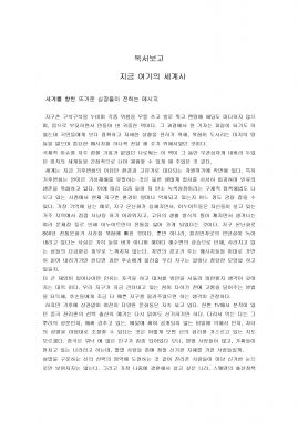 [독후감/서평/요약] 독후감 - 지금 여기의 세계사-1페이지