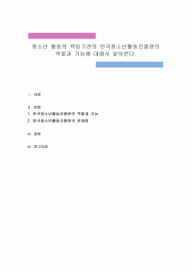 청소년 활동의 책임기관의 한국청소년활동진흥원의 역할과 기능에 대해서 알아본다-1페이지