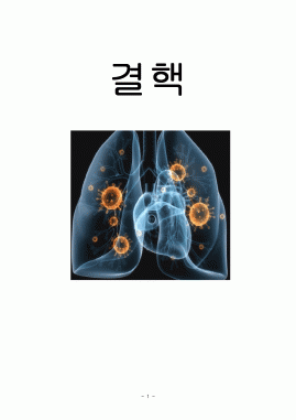 결핵 - 걸핵이란, 진단 및 치료, 치료 경과 및 치료종료 판정-1페이지