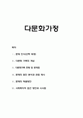 [사회복지] 다문화가정 -1페이지