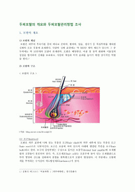 [두피모발관리] 두피모발의 개요와 두피모발관리방법 조사 - 두피모발관리-1페이지