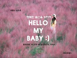 ★ 여행사 실무론 - HELLO MY BABY, 통계자료, 3C, STP, 4P, 손익계산서, 마무리-1페이지