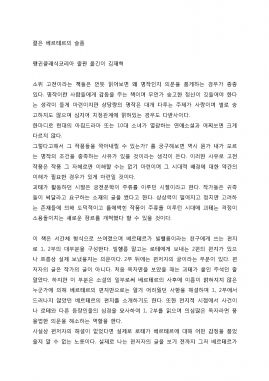 독후감 : 젊은 베르테르의 슬픔-1페이지