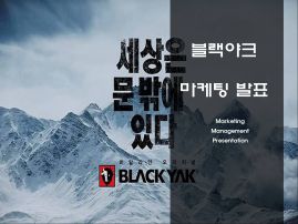 블랙야크 기업분석과 SWOT분석및 블랙야크 마케팅전략분석과 블랙야크 프로모션 전략제언 PPT-1페이지