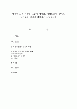 여성의 노동 시장을 노동의 여성화, 여성노동의 유연화, 양극화의 세가지 차원에서 설명-1페이지