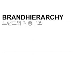 BRANDHIERARCHY 브랜드의 계층구조-1페이지