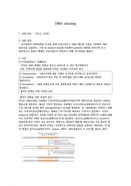 (생화학 실험레포트) DNA 클로닝-1페이지