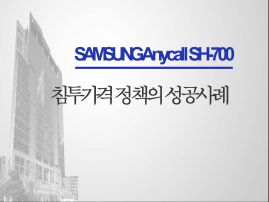 침투가격 정책의 성공사례-1페이지