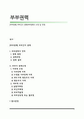 [부부권력] 부부간의 권력(부부권력의 유형 및 영역)-1페이지