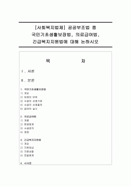 [사회복지법제] 공공부조법 중 국민기초생활보장법, 의료급여법, 긴급복지지원법에 대해 논하시오-1페이지