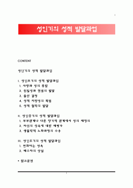 성인기의 성적 발달과업-1페이지