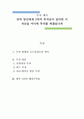 투자론)만약 당신에게 5억의 투자금이 있다면 이 자금을 어디에 투자를 하겠습니까-1페이지