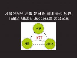 사물인터넷 산업 분석과 국내 육성 방안, Telit의 Global Success를 중심으로-1페이지