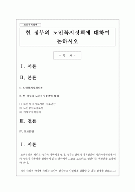 현 정부의 노인복지정책에 대하여 논하시오-1페이지