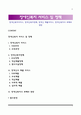 장애인복지서비스, 장애인복지정책, 장애인 재활서비스, 장애인복지의 과제와 전망-1페이지