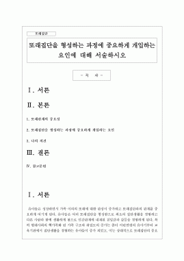 또래집단을 형성하는 과정에 중요하게 개입하는 요인에 대해 서술하시오-1페이지