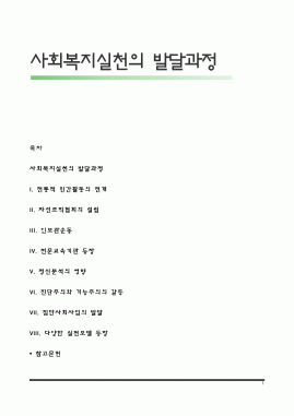 [사범/법학] 사회복지실천의 발달과정 -1페이지