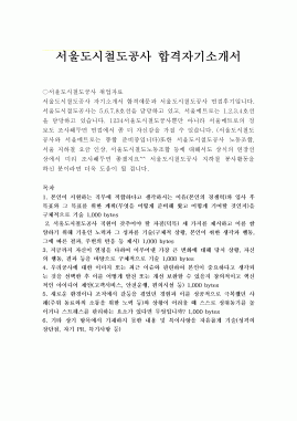 서울도시철도공사자기소개서 합격자소서/면접후기 서울도시철도공사자소서 서울도시철도공사지원동기자기소개서자소서,서울도시철도공사 자기소개서샘플,서울도시철도공사자소서항목 연봉,합격자기소개서-1페이지