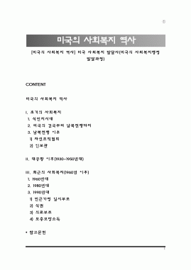 [미국의 사회복지 역사] 미국 사회복지 발달사(미국의 사회복지행정 발달과정)-1페이지