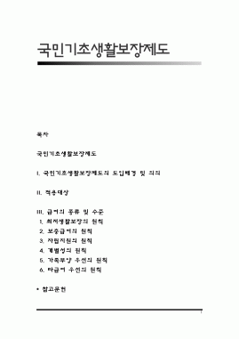 국민기초생활보장제도 종류 유형 분류-1페이지