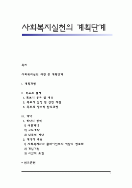 사회복지실천 과정 중 계획단계-1페이지