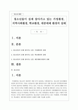 청소년들이 실제 살아가고 있는 가정환경, 지역사회환경, 학교환경, 대중매체 환경의 실태-1페이지