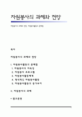 자원봉사의 과제와 전망, 자원봉사활동의 문제점-1페이지