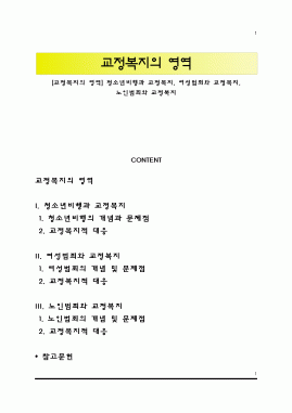 [교정복지의 영역] 청소년비행과 교정복지, 여성범죄와 교정복지, 노인범죄와 교정복지-1페이지