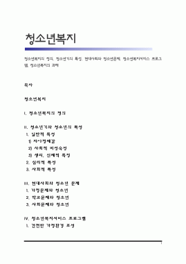 청소년복지의 정의, 청소년기의 특성, 현대사회와 청소년문제, 청소년복지서비스 프로그램, 청소년복지의 과제-1페이지