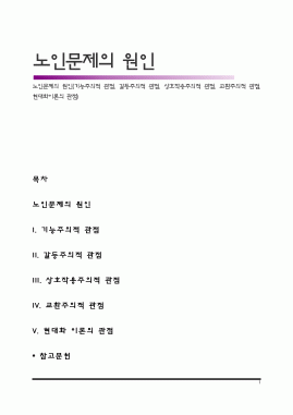 노인문제의 원인(기능주의적 관점, 갈등주의적 관점, 상호작용주의적 관점, 교환주의적 관점, 현대화이론의 관점)-1페이지