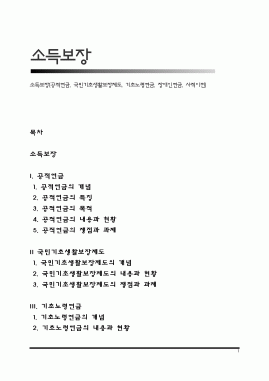 소득보장(공적연금, 국민기초생활보장제도, 기초노령연금, 장애인연금, 사적이전)-1페이지