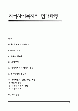 지역사회복지의 전개과정-1페이지