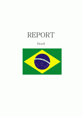 [비교발전행정론] 브라질 정부 구조 행정 발전 및 개혁 과정-1페이지