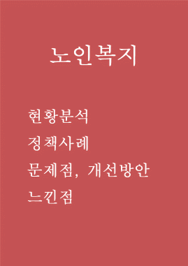 노인복지 목적과 현황분석및 노인복지 정책사례와 노인복지 문제점및 개선방안제언과 느낀점-1페이지