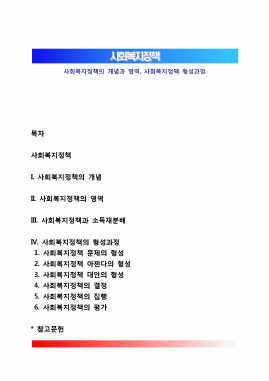 사회복지정책의 개념과 영역 사회복지정책 형성과정-1페이지