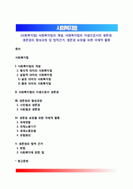 [사회복지법] 사회복지법의 개념 사회복지법의 이념으로서의 생존권 생존권의 형성과정 및 법적근거 생존권 보장을 위한 국제적 활동-1페이지