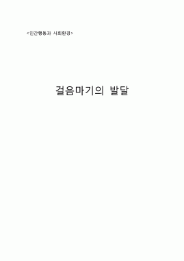 [인간행동과 사회환경] 걸음마기의 발달-1페이지