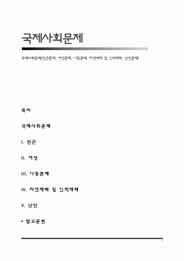 국제사회문제(빈곤문제 여성문제 아동문제 자연재해 및 인적재해 난민문제)-1페이지