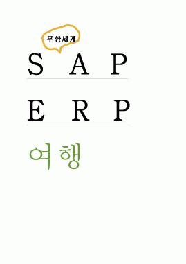 SAP ERP 여행-1페이지