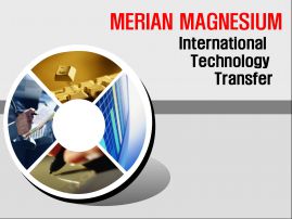 MERIAN MAGNESIUM - International Technology Transfer-1페이지