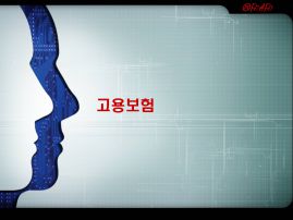 고용보험 [의의 도입배경 필요성 기능 개요 재원조성 문제점]-1페이지