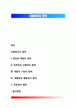 아동복지의 원칙 사회복지 개념 정의 특징 특성 문제점 해결방안 종류 유형 분류 아동복지의 원칙-1페이지