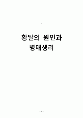 [간호학] 황달의 원인과 병태생리-1페이지