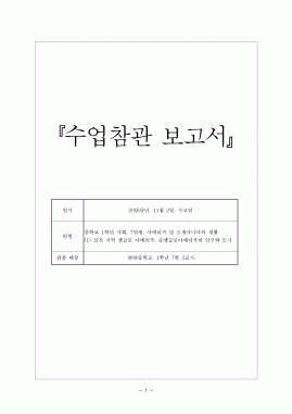 수업참관 보고서 - 중학교 1학년 사회 7단원 아메리카 및 오세아니아의 생활 - (1) 선진 지역 앵글로 아메리카 ④앵글로아메리카의 인구와 도시-1페이지