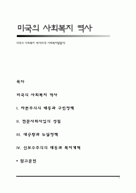 미국의 사회복지 역사(미국 사회복지발달사)-1페이지