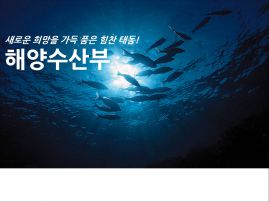 해양수산부 - 소개 7대 전략과제 결론-1페이지