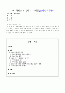 자아정체감이란 무엇이며 왜 청소년기에 자아정체감의 형성이 중요한지 설명하고 자신이 청소년기에 겪었던 자아정체감과 관련된 갈등이나 경험을 예로 들어 어떻게 자신이 그 갈등에 대처했-1페이지