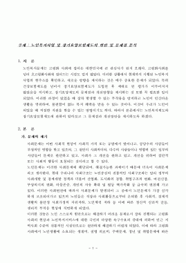 노인복지사업 및 장기요양보험제도의 현안 및 문제점 분석-1페이지