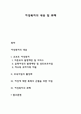 여성복지의 내용 및 과제-1페이지